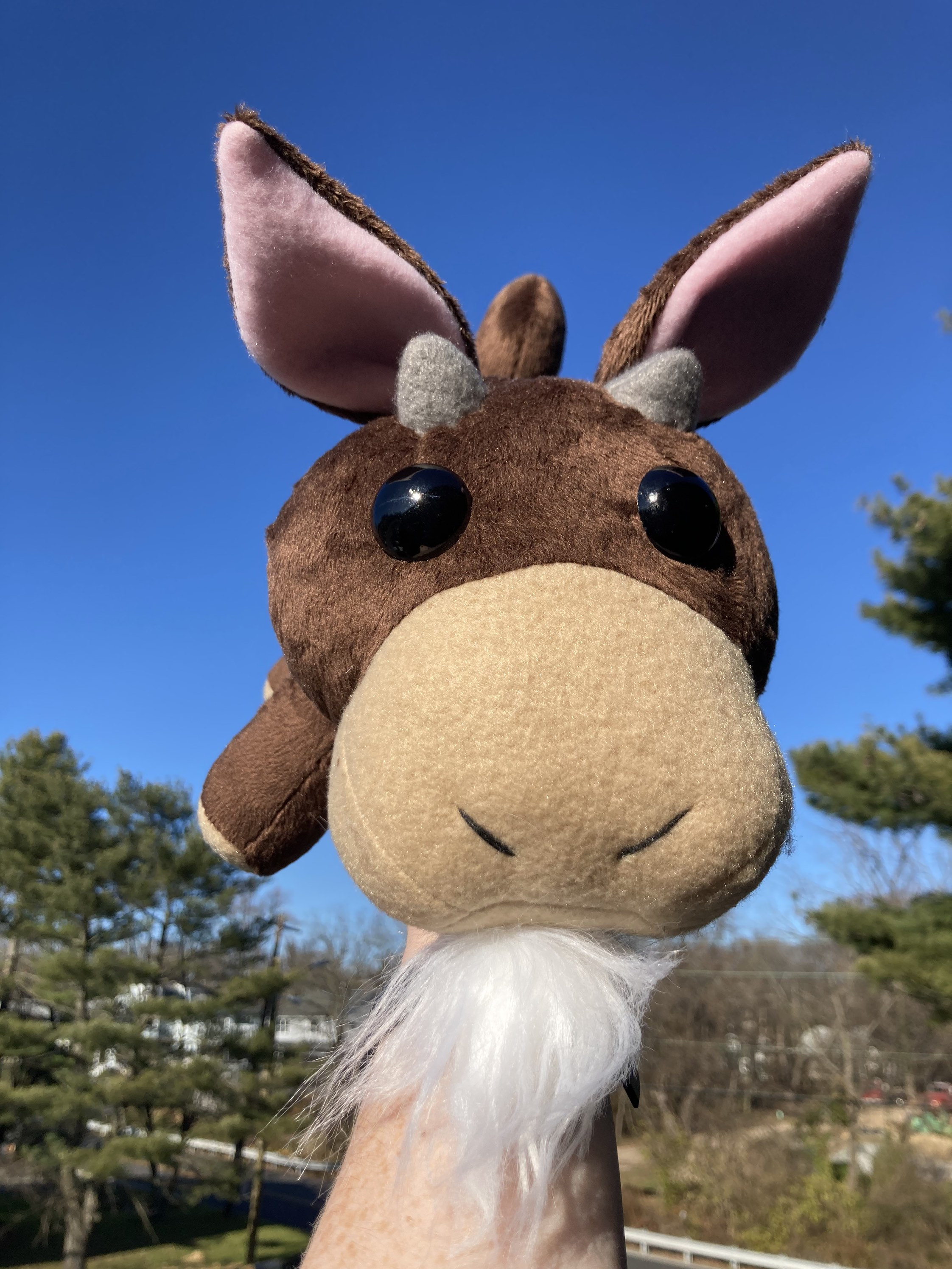 Sabertooth Moose Lion Cub