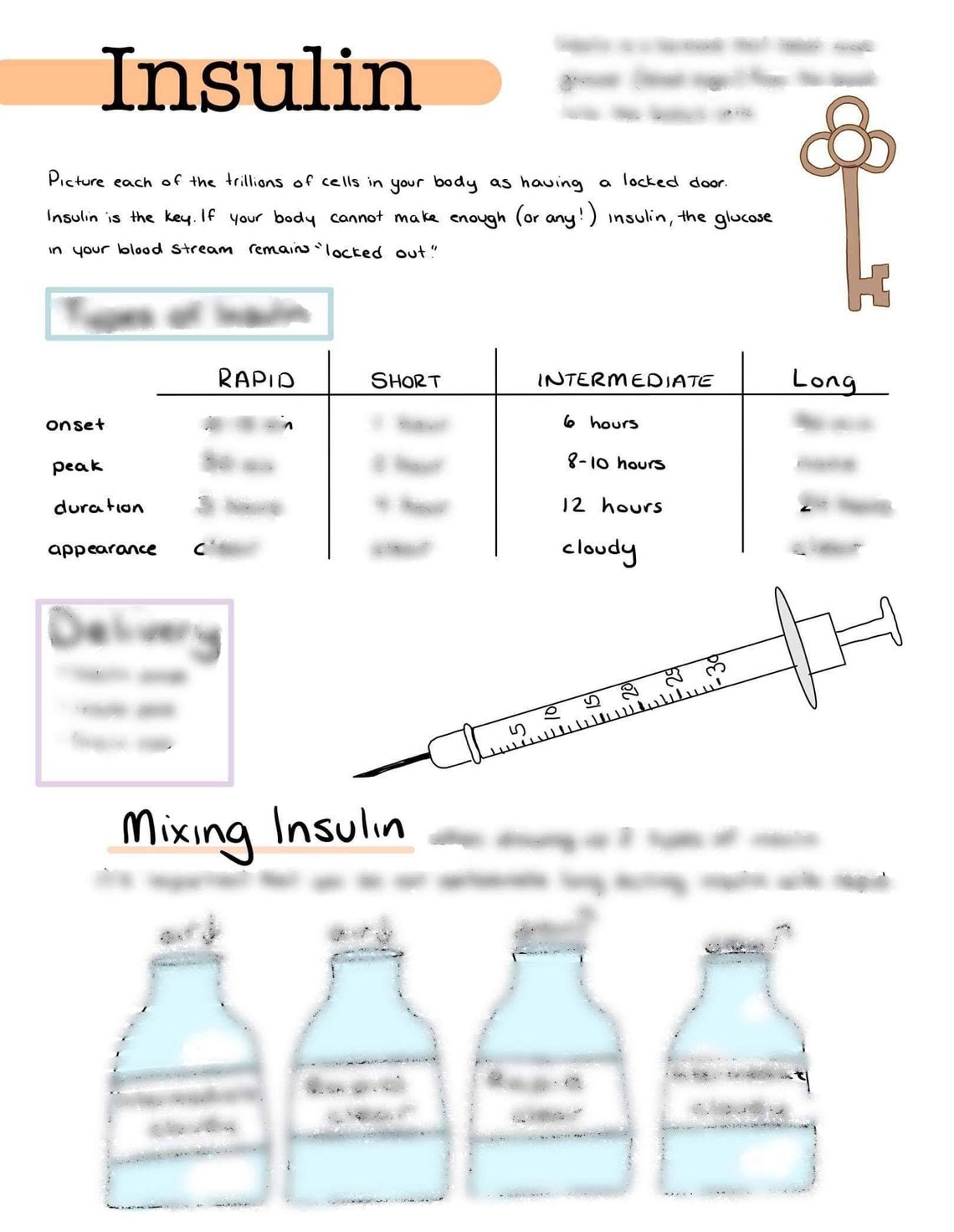 Insulin Study Guide / Pharmacology Cheat Sheet | Etsy