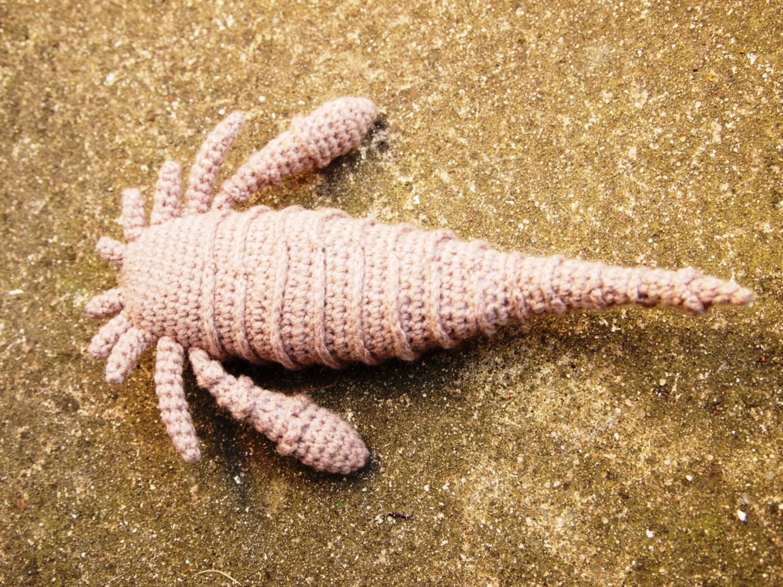 PDF PATTERN - Crocheted Eurypterid Sea Scorpion Amigurumi Paleo Plushie ...
