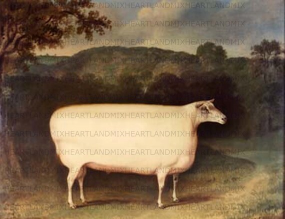 Primitive Vintage Farmhouse Sheep Wall Art Download Printable - Etsy