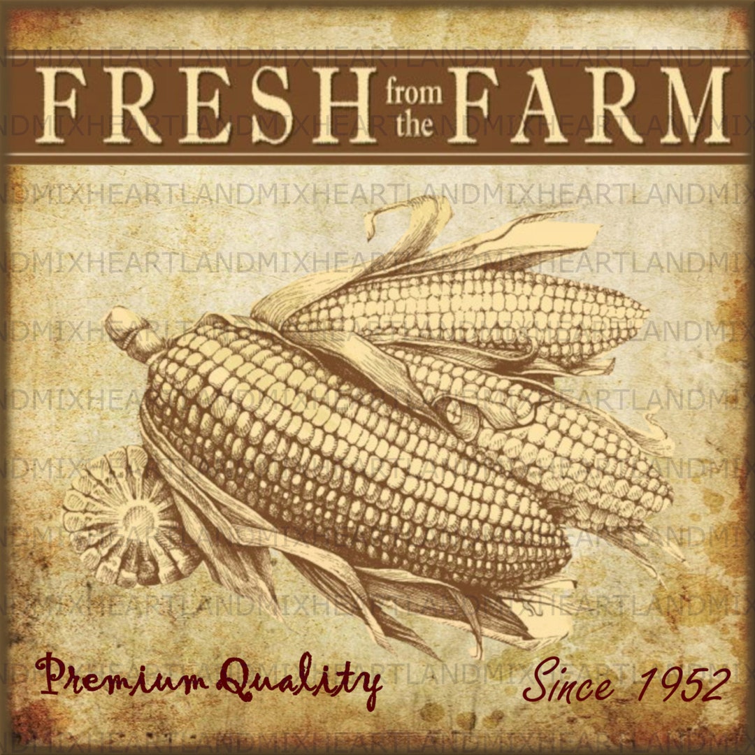 Vintage Farmhouse Farm Fresh Corn Digital Wall Art Graphic Image ...