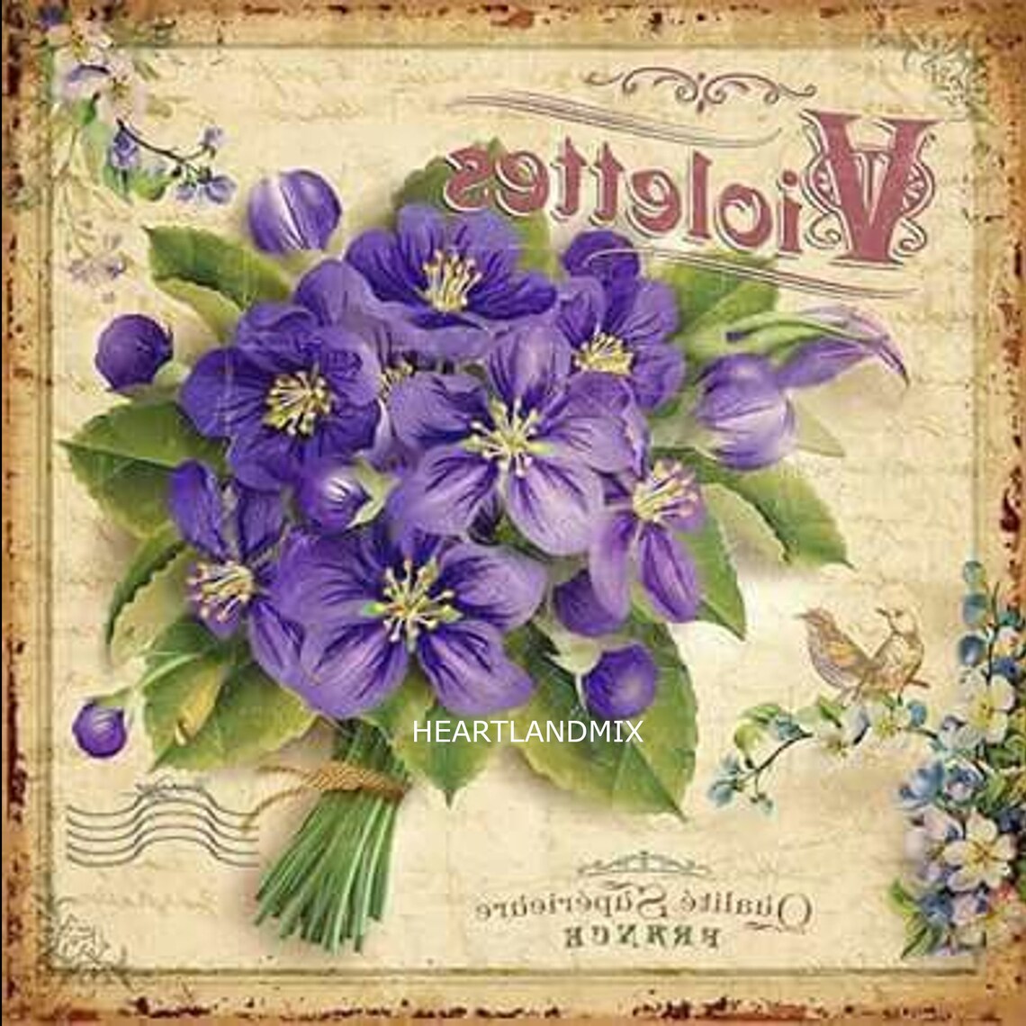 Violets Digital Image Printable INSTANT DOWNLOAD - Etsy