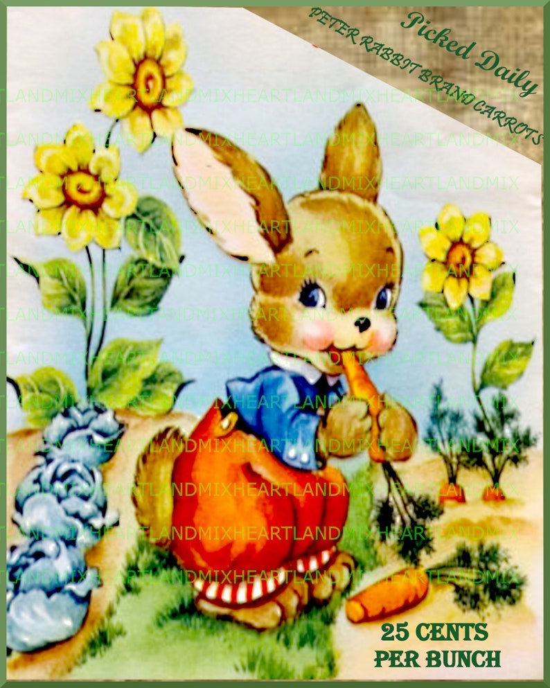 Vintage Peter Rabbit Carrot Garden Digital Download Instant Image - Etsy