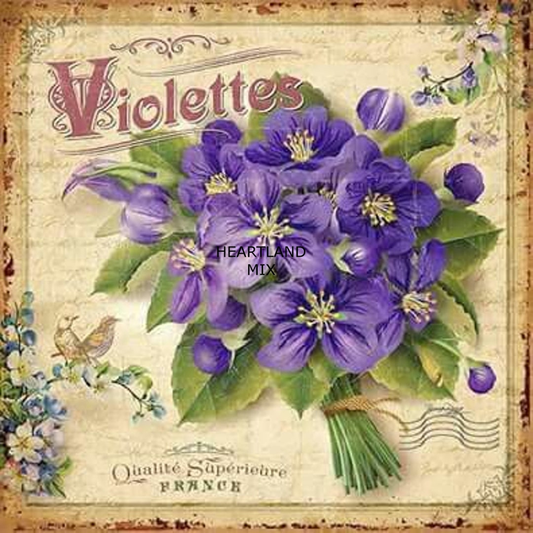 Violets Digital Image Printable INSTANT DOWNLOAD Cards/tags/transfer ...
