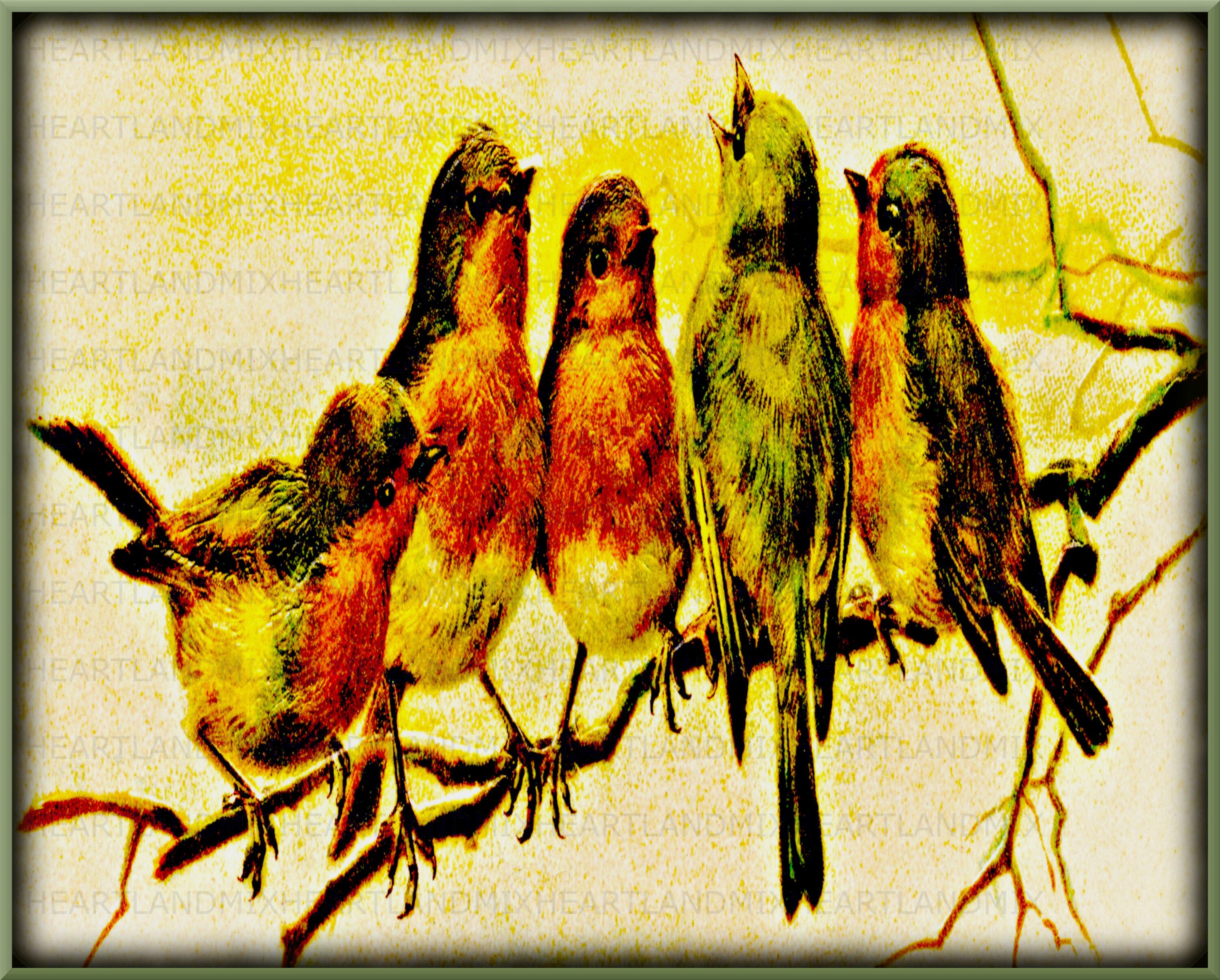 Vintage Bird Facebook Covers