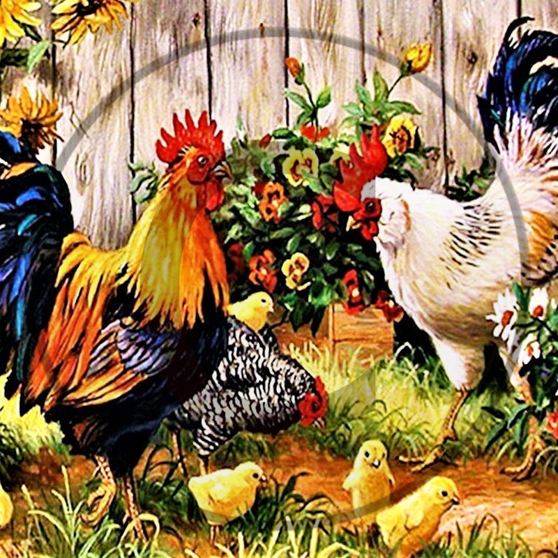 Chicken Transfer - Etsy