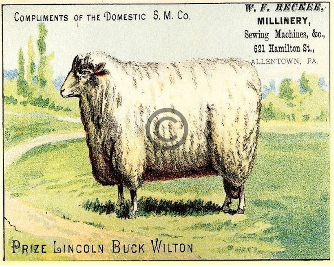 Vintage Farmhouse Sheep Advertising Sewing Card Wall Art/transfer/hang ...