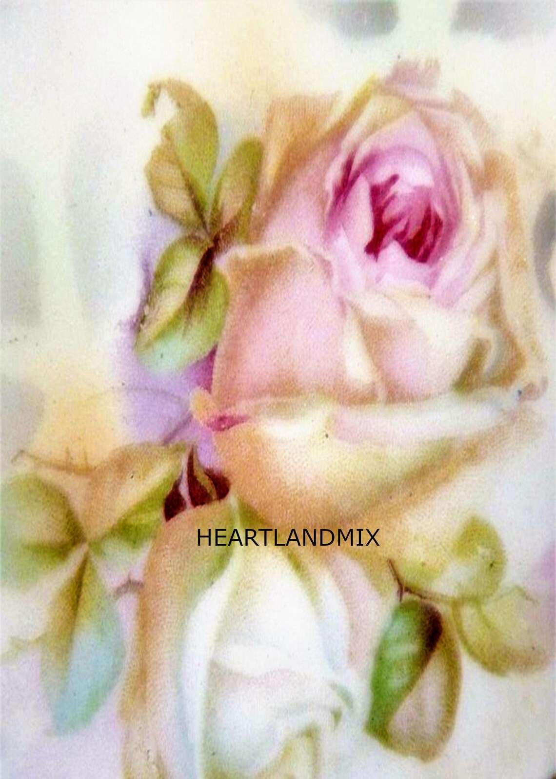 Single Pink Rose Art Digital Image Download Printable 300 DPI - Etsy