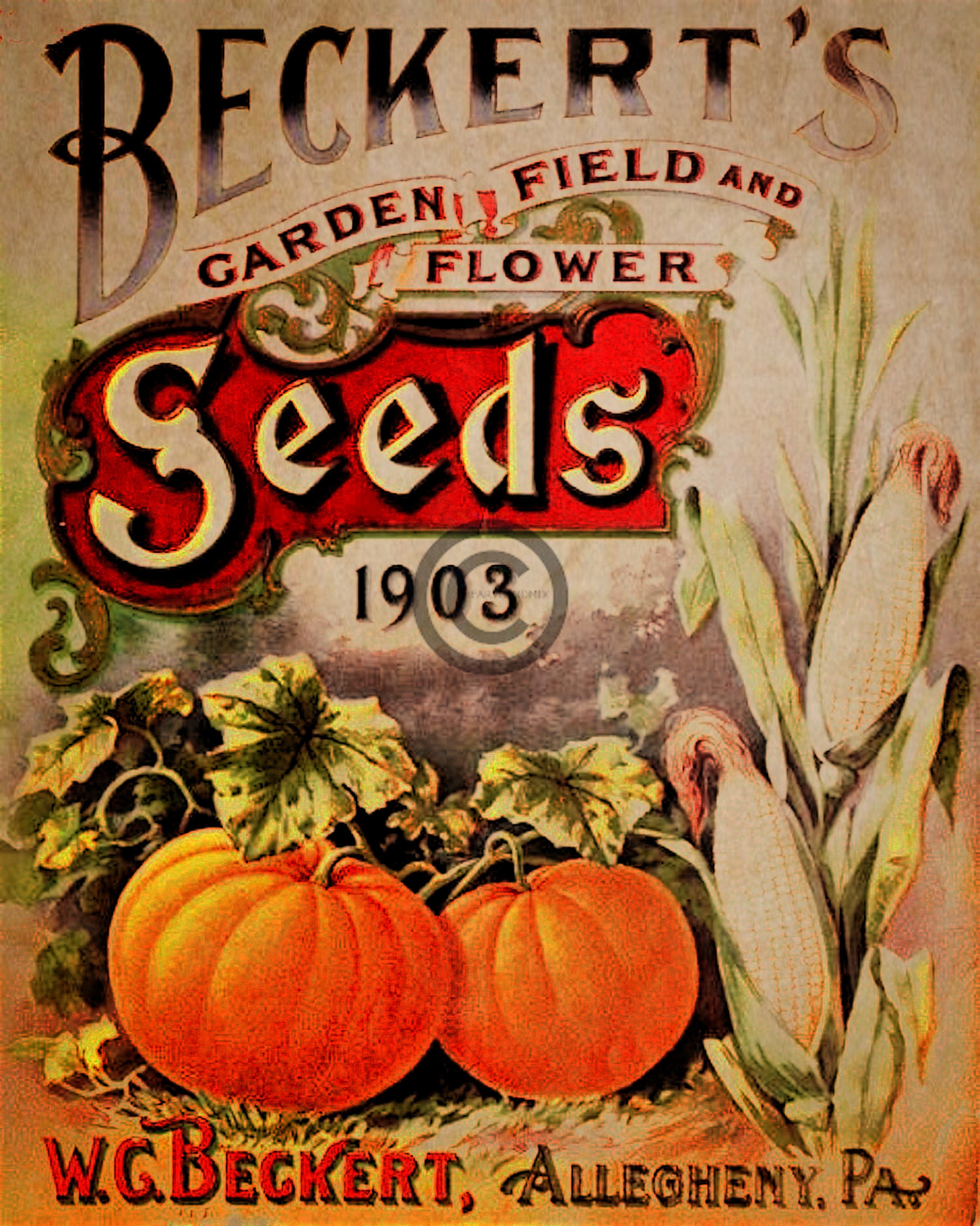 Vintage Seed Catalogs
