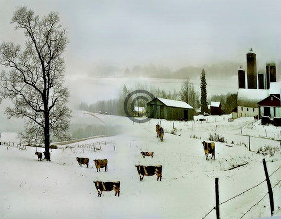 Cattle Farm in Winter digital download printable wall art | Etsy