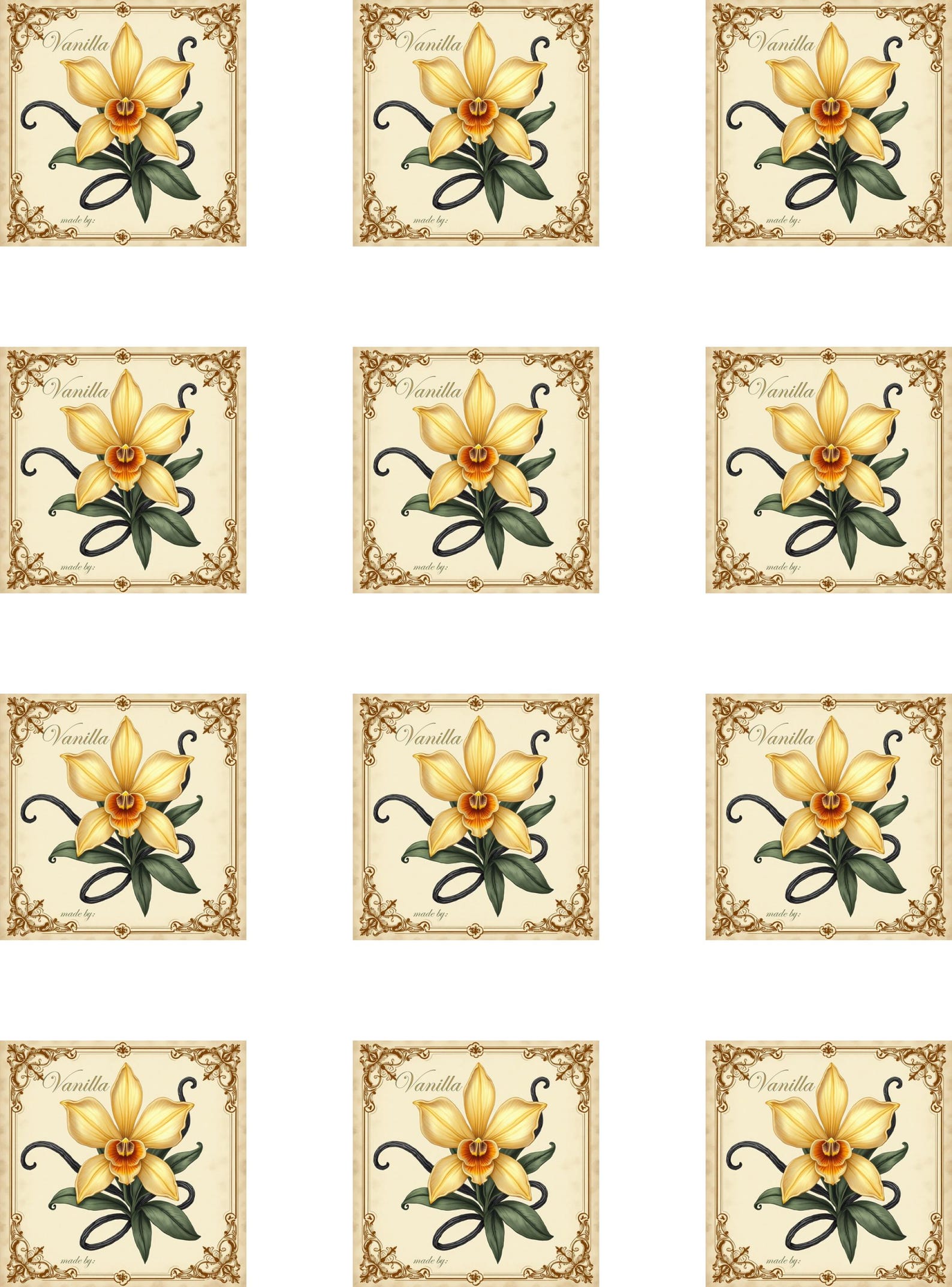 Printable Vanilla Bean Extract Labels – Vanilla Orchid Design (digital ...