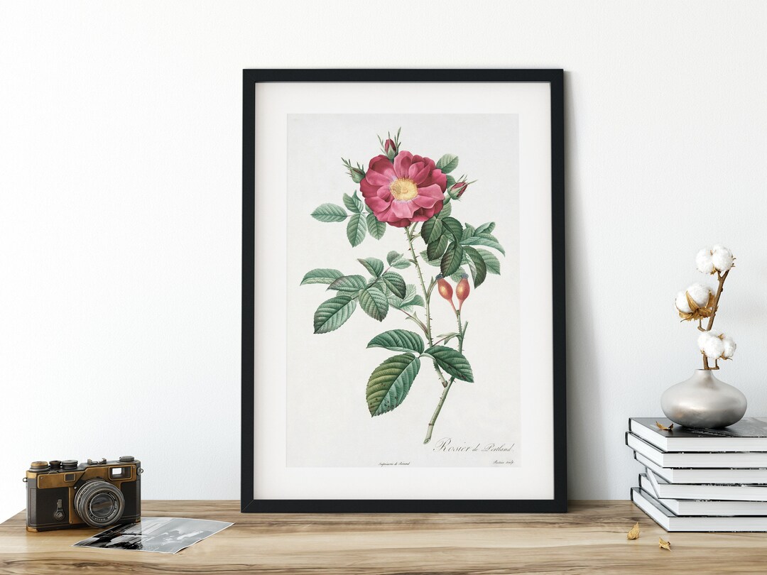 Printable Red Rose Wall Art, Downloadable Art, Cottage Decor, Gift for ...