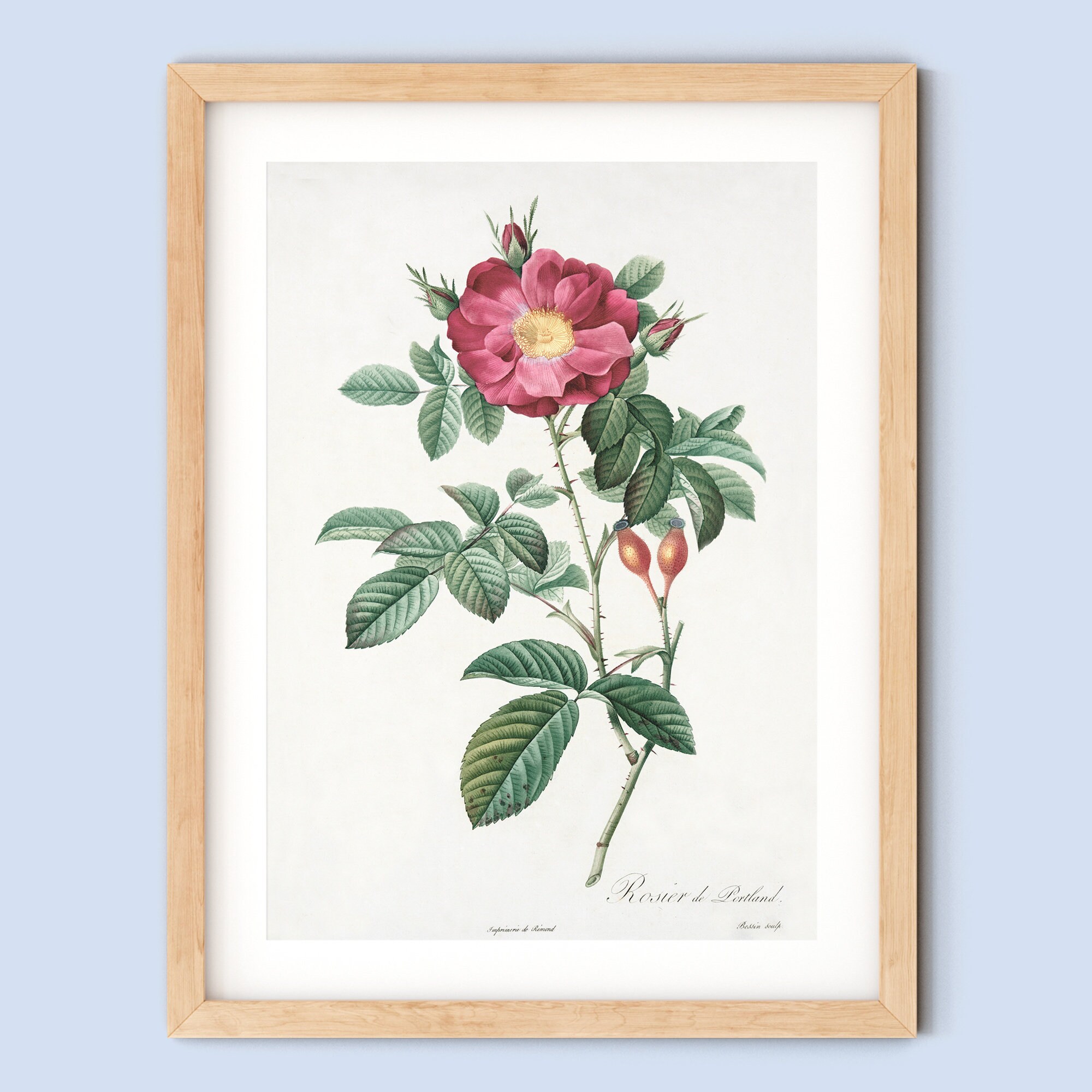 Printable Red Rose Wall Art, Downloadable Art, Cottage Decor, Gift for ...