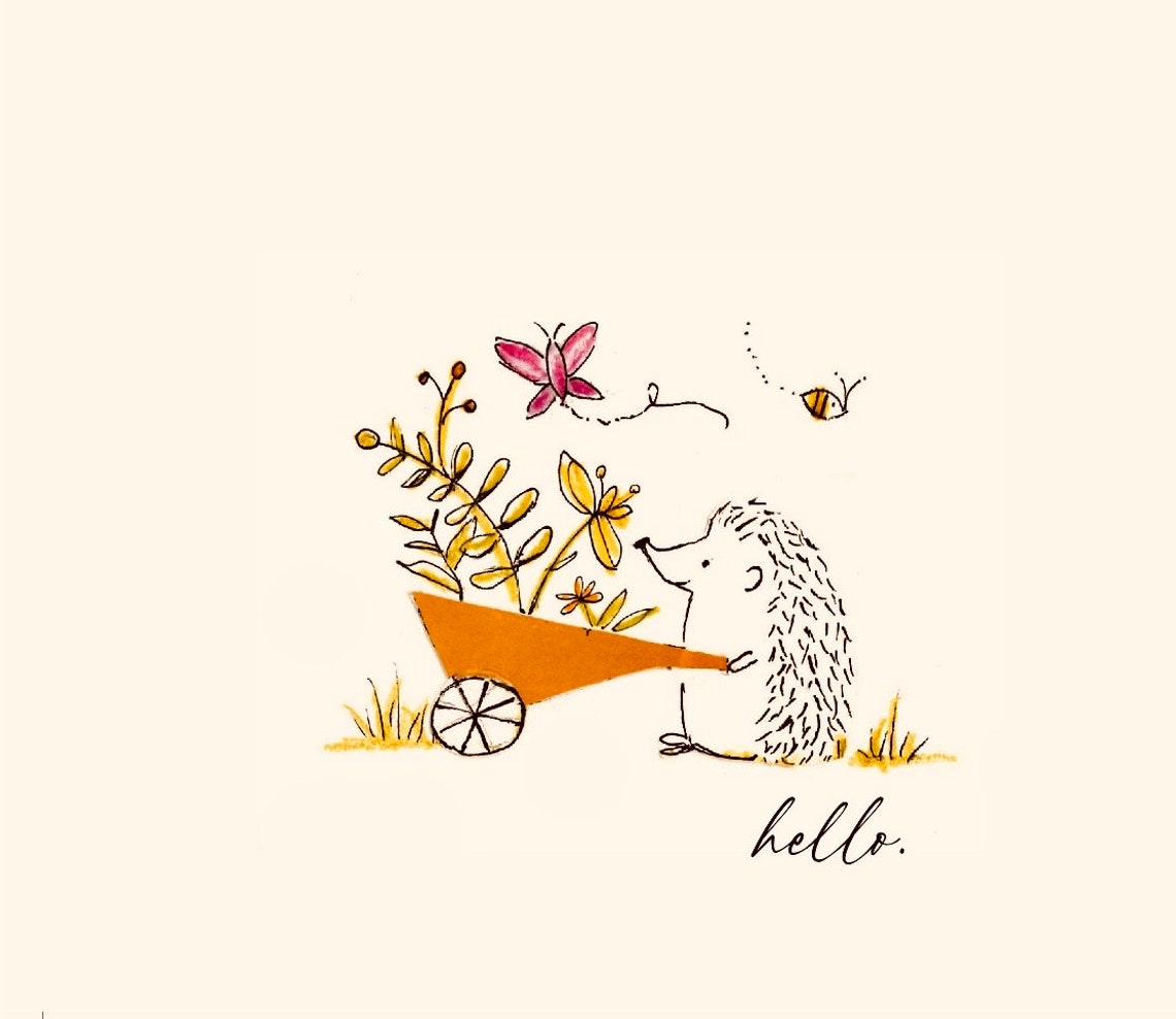 Hedgehog Hello Note Cards | Hedgehog Wheelbarrow Plant Greeting Card ...