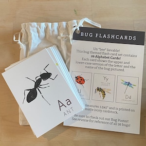 Bug Flashcards | Bug Insect Alphabet | Montessori Learning | - Etsy