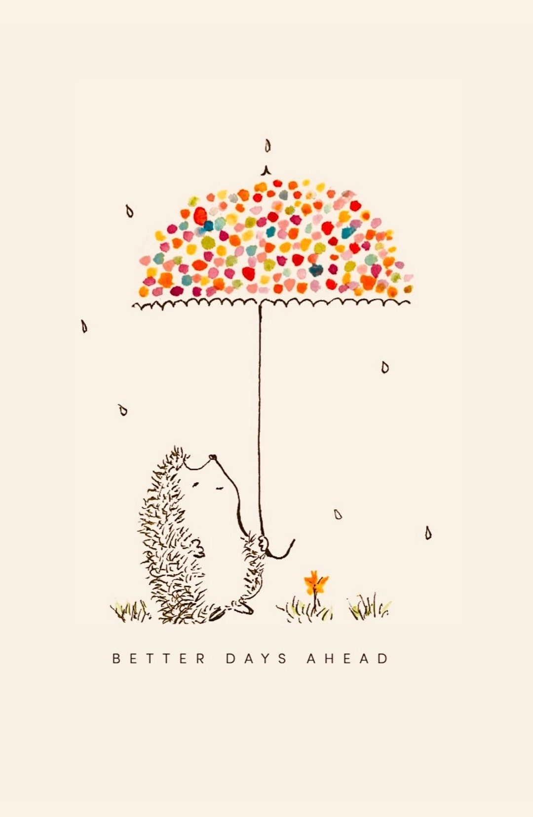Hedgehog Get Well Note Cards Hedgehog Card Umbrella Shower Hedgehog ...