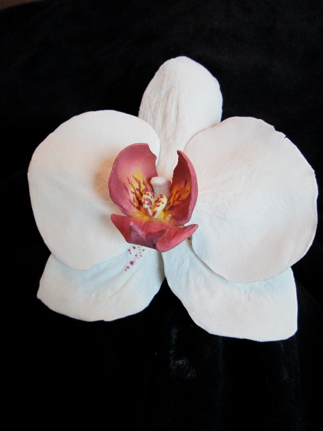 Moth Orchid Sugar Flowers Edible Gum Paste Wedding Cake Topper ...