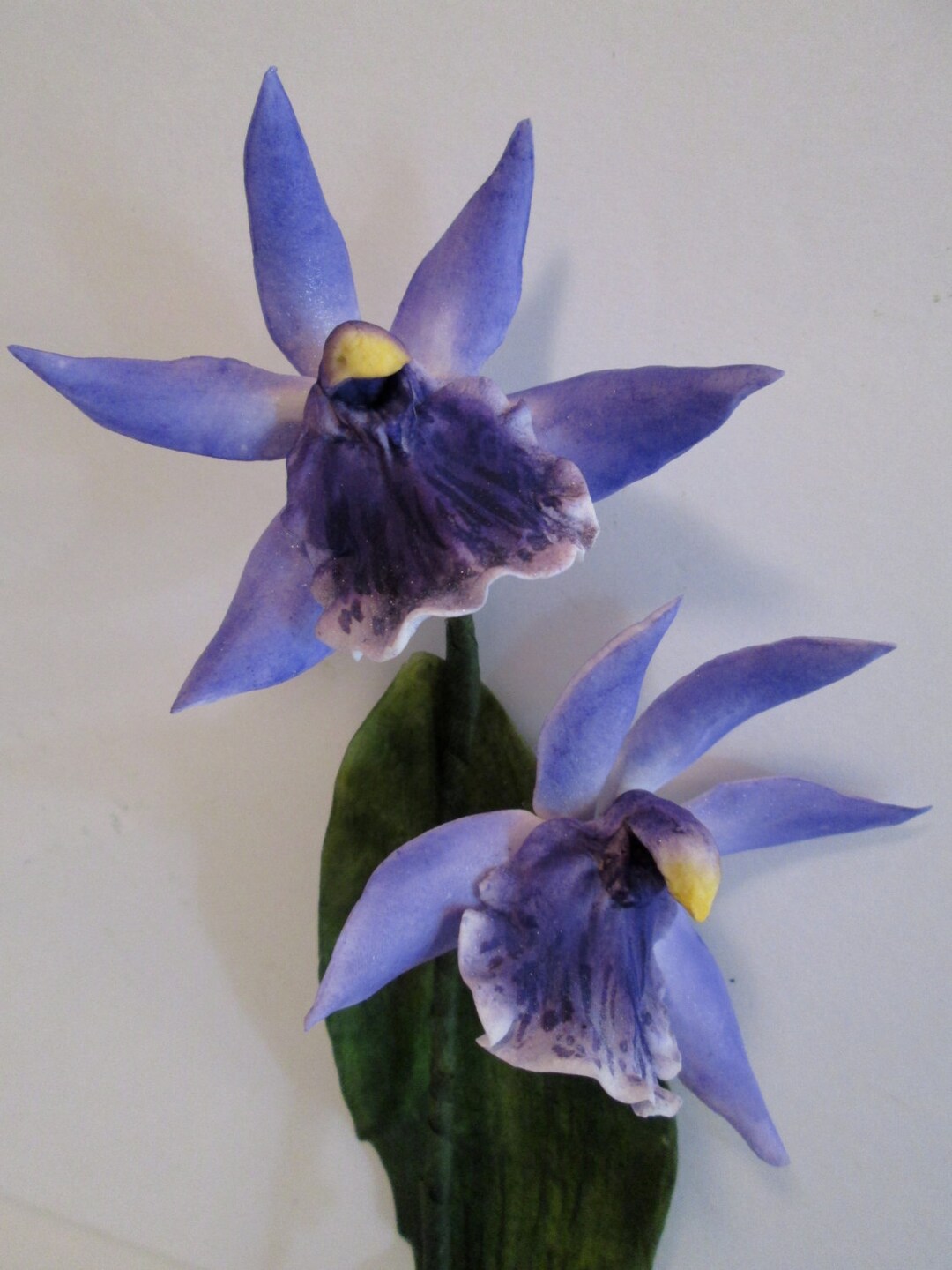 Sugar Orchid Gum Paste Cake Topper Zygopetalum Handmade Fondant - Etsy