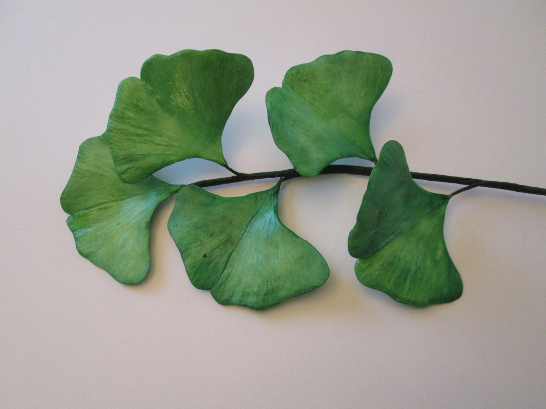 Pretty Ginkgo Biloba Sugar Flower Cake Toppers, Gumpaste Maidenhair ...