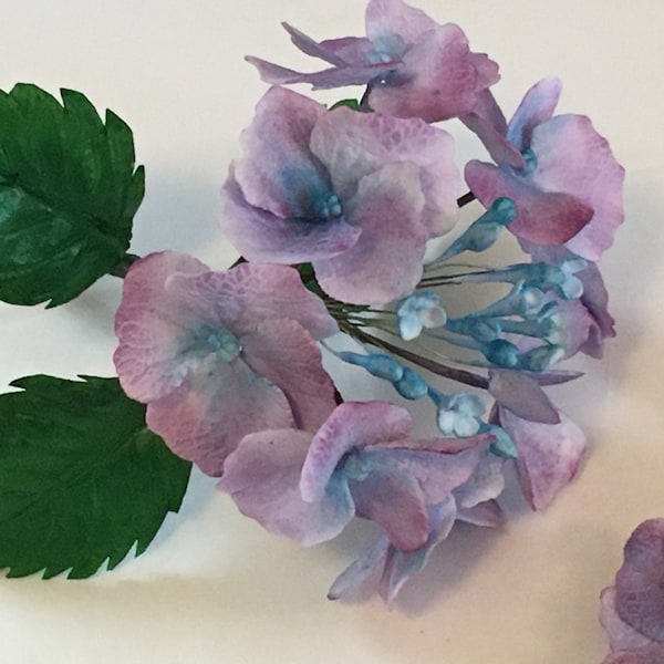 Sugar Hydrangea - Etsy