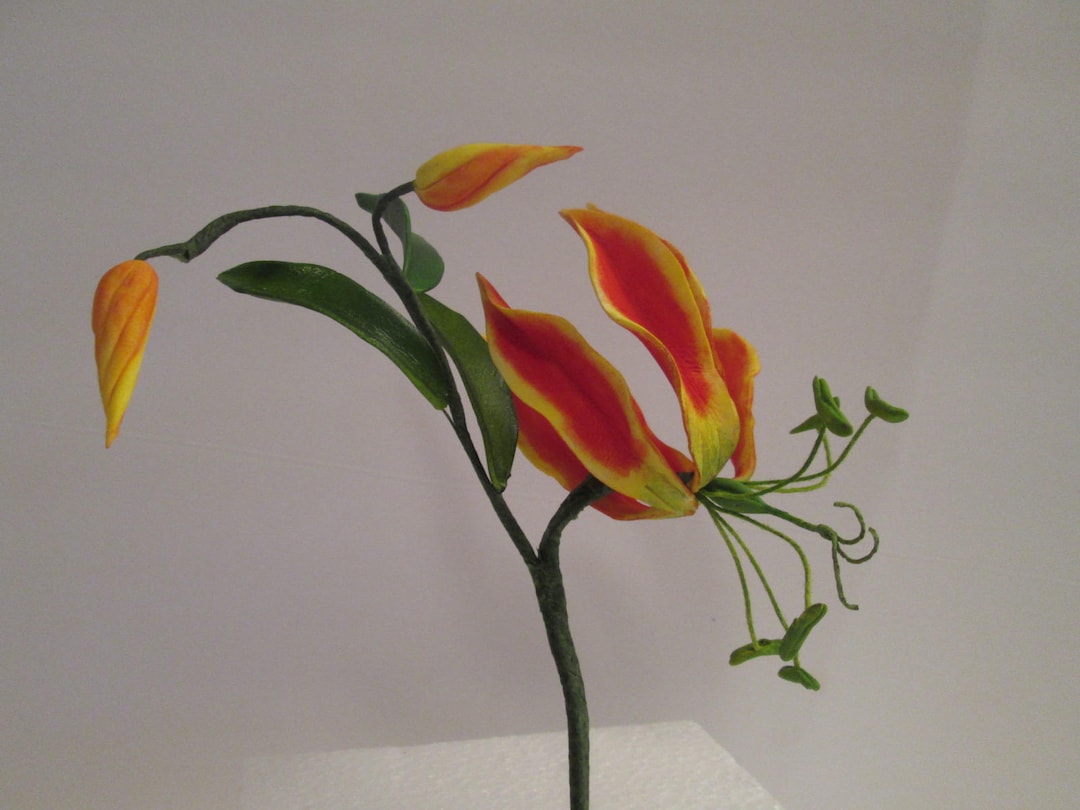 Realistic Gloriosa Lily, Exotic Flame Lily Cake Topper, Sugar Flowers ...