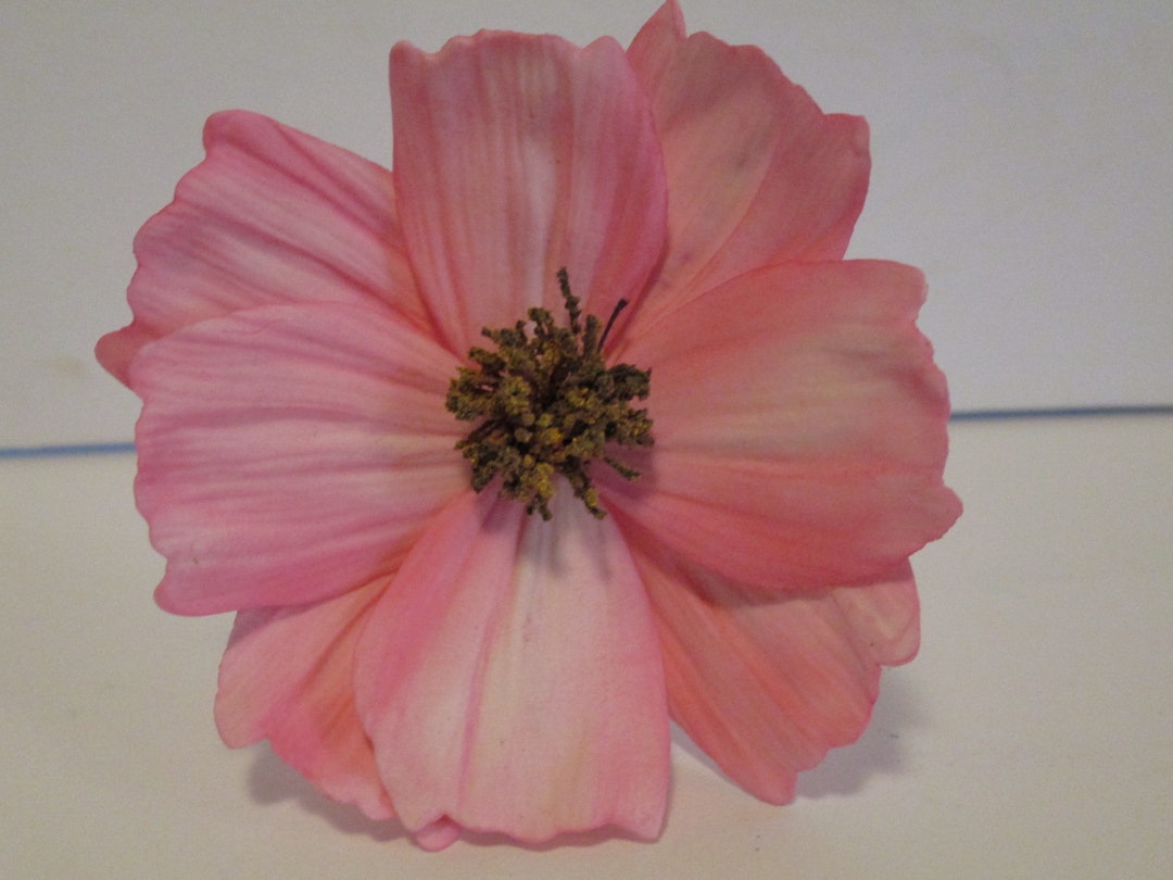 Cosmo Sugar Flower Cake Topper: Gumpaste Floral Decoration - Etsy