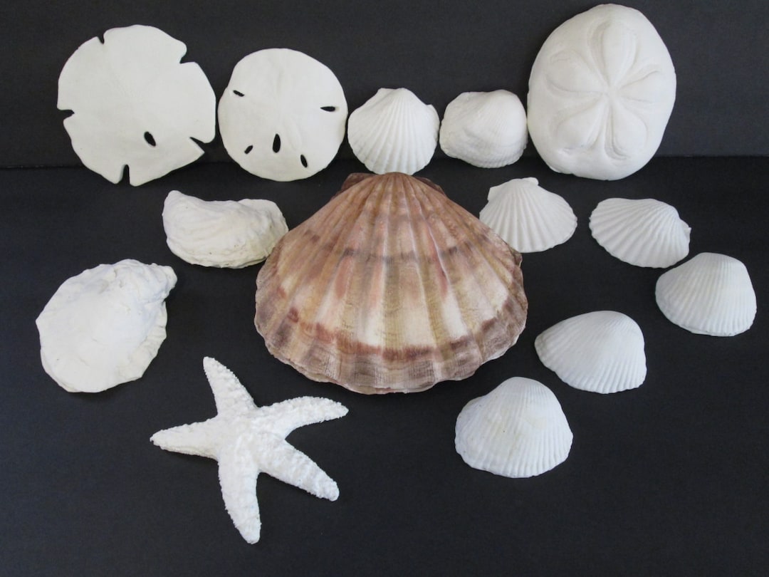 Shell Cake Topper Clam Oyster Starfish Sea Horse Beach Sand Destination ...