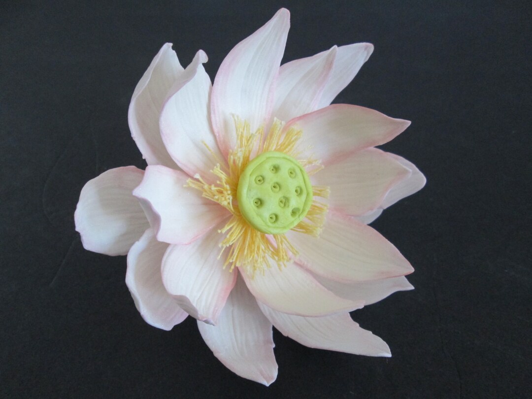 Handmade Gumpaste Lotus Flower Cake Topper: Exotic Wedding Decor - Etsy