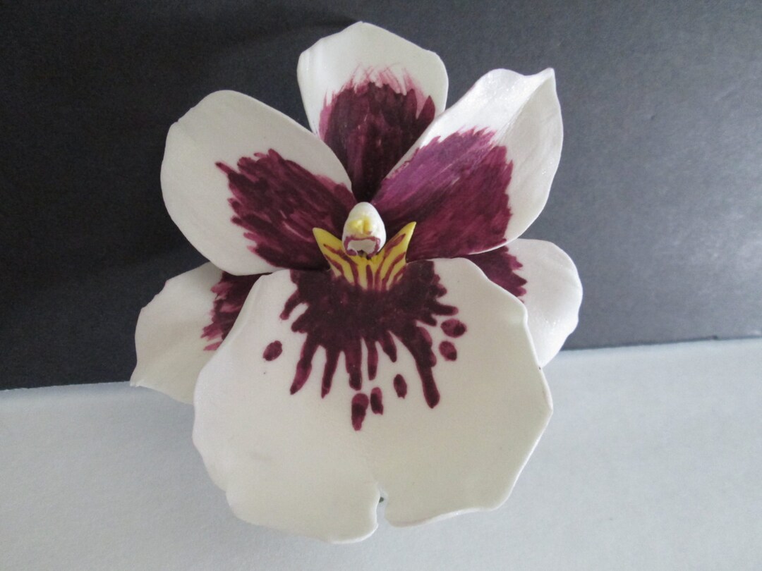 Handmade Miltoniopsis Orchid Sugar Flower Cake Topper - Etsy