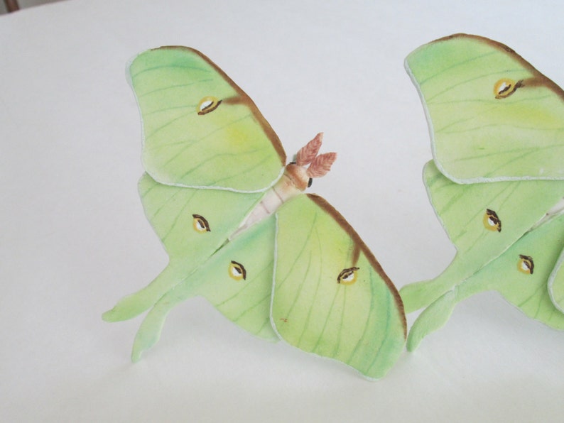 Luna Moth Cake Topper, Gumpaste Cake Decoration - Etsy