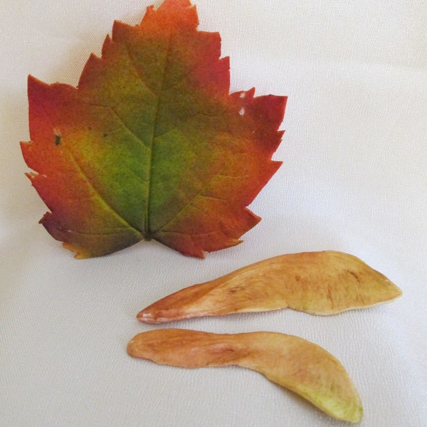 Gumpaste Leaves - Etsy