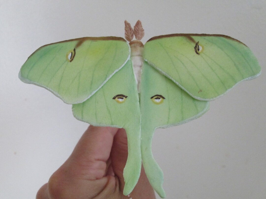 Luna Moth Cake Topper, Gumpaste Cake Decoration - Etsy