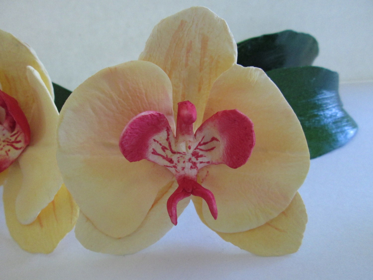 Handmade moth orchid phaelenopsis sugar gum paste cake topper | Etsy