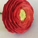 Ranunculus Cake Topper Swamp Buttercup Gum Paste Sugar Handmade Fondant ...