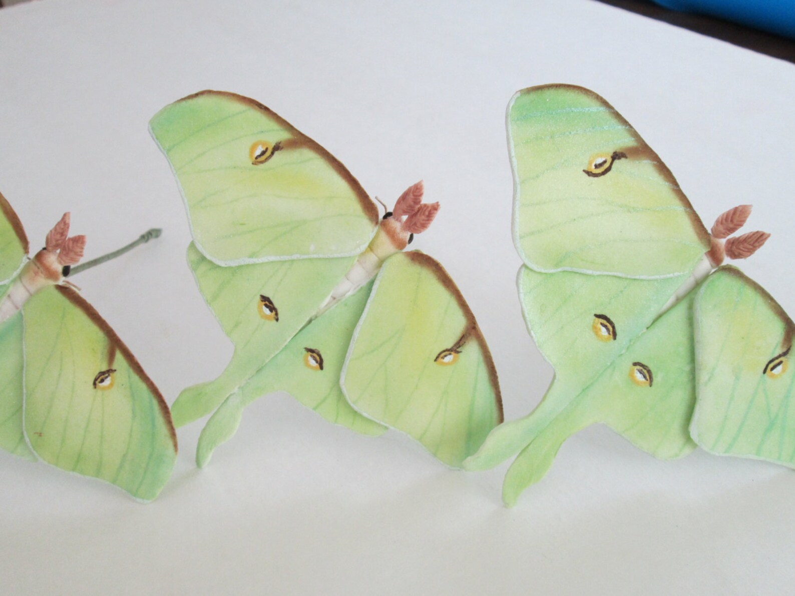 Luna Moth Cake Topper, Gumpaste Cake Decoration - Etsy