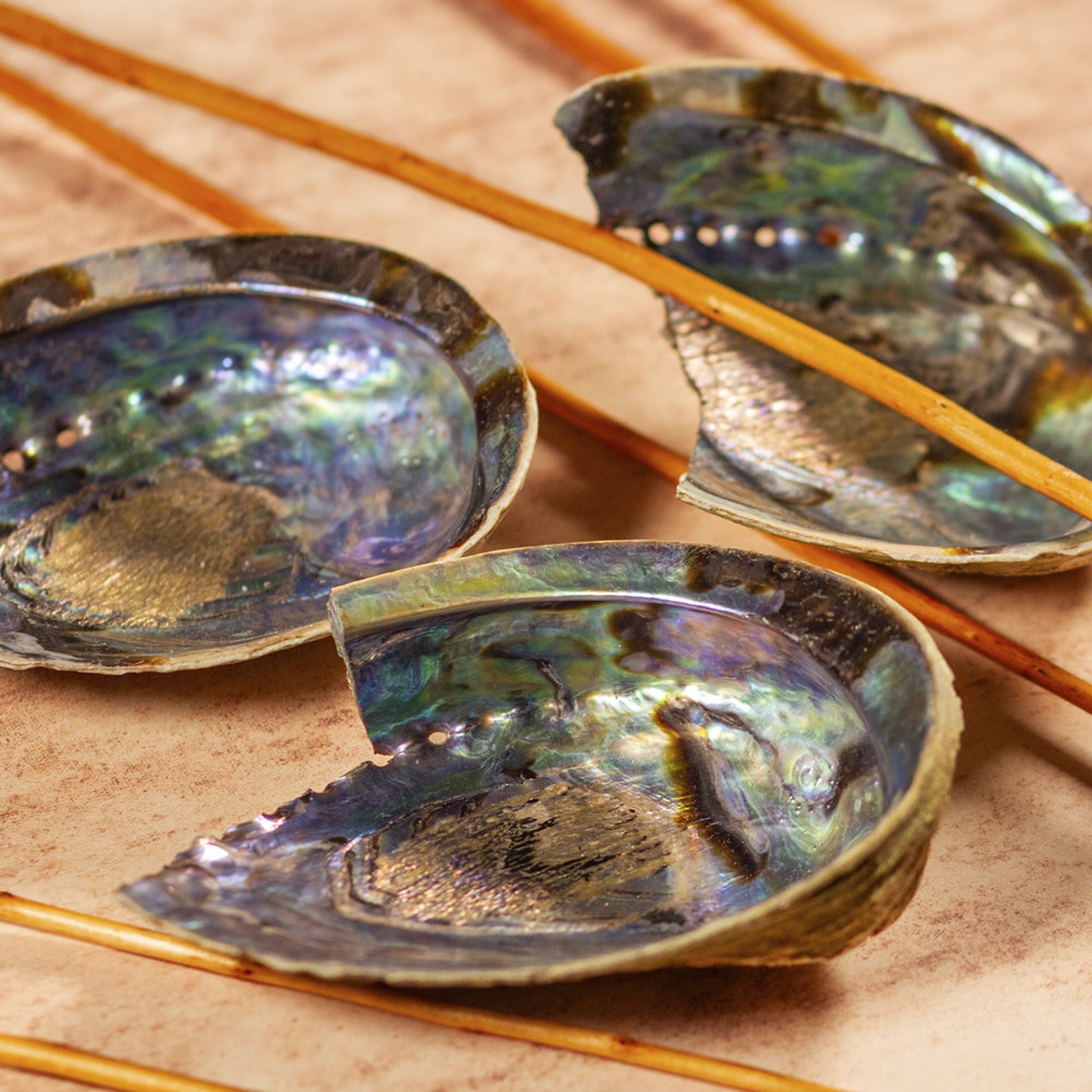 Abalone Shell Smudging Bowl Colorful and All-natural Chipped - Etsy