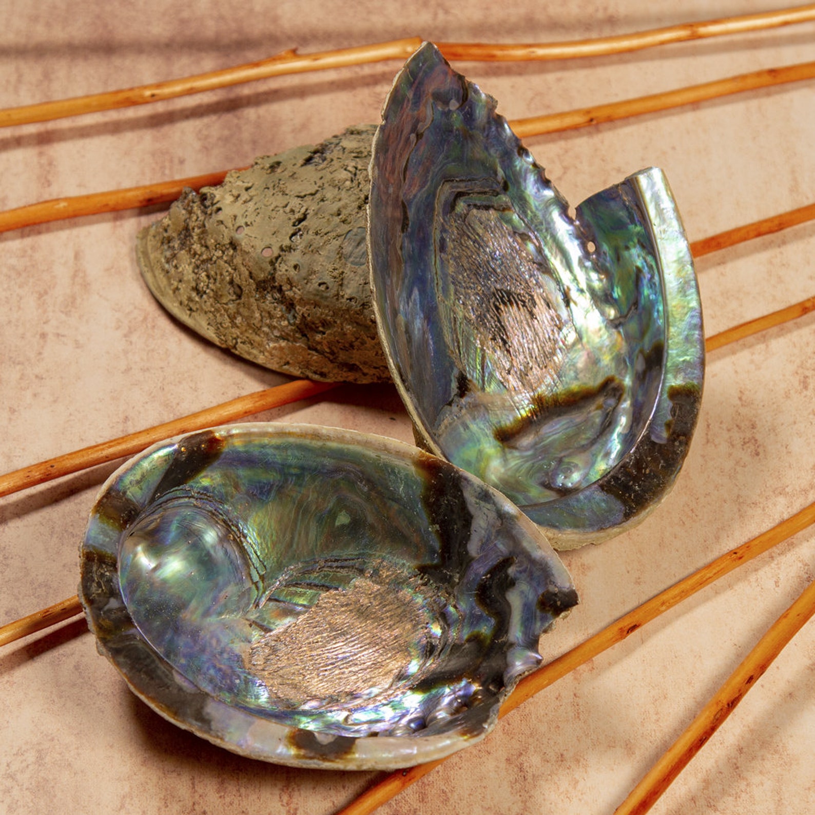 Abalone Shell Smudging Bowl Colorful and All-natural Chipped - Etsy