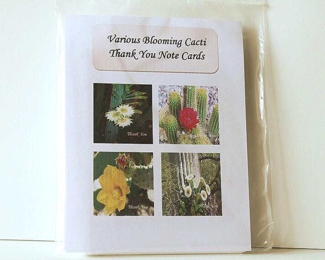 Blooming Cacti Thank You Note Cards - Etsy