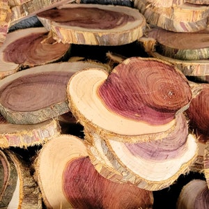 2" - 3" Red Cedar Wood Slices, Set of 30 Live Edge Tree Slices, Round ...