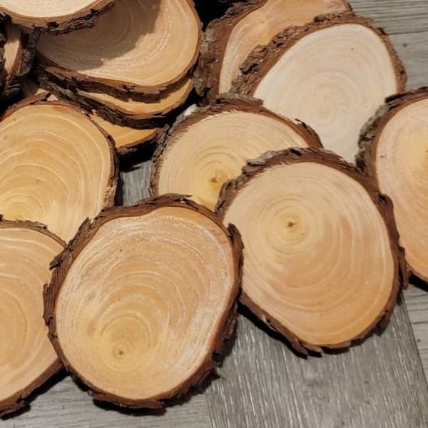 Tree Slice Wood - Etsy