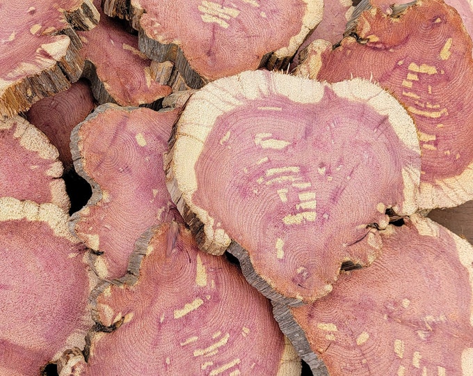 Irregular 8 9 X 1 Thick Red Cedar Wood Slices Live Edge Wood Rounds Set ...
