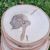 Red Cedar Wood Slices, Live Edge Tree Slices, DIY Coasters, Ornaments ...
