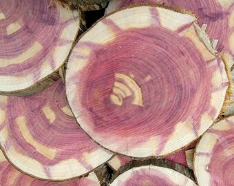 Cedar Wood Rounds - Etsy