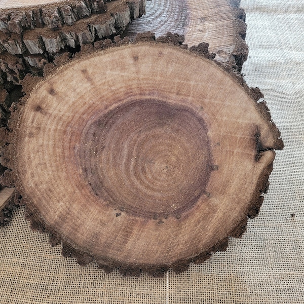 Live Edge Wood Slices for Centerpieces - Etsy