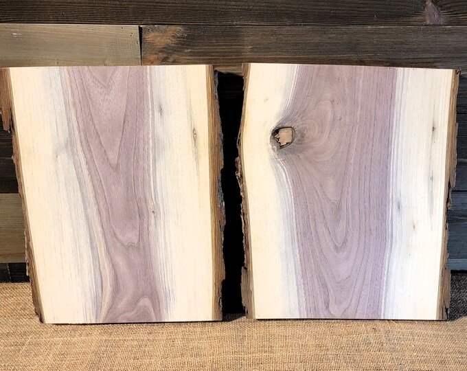 2 Walnut Slabs, 14.5 X 12 Planed and Sanded Live Edge Black Walnut ...