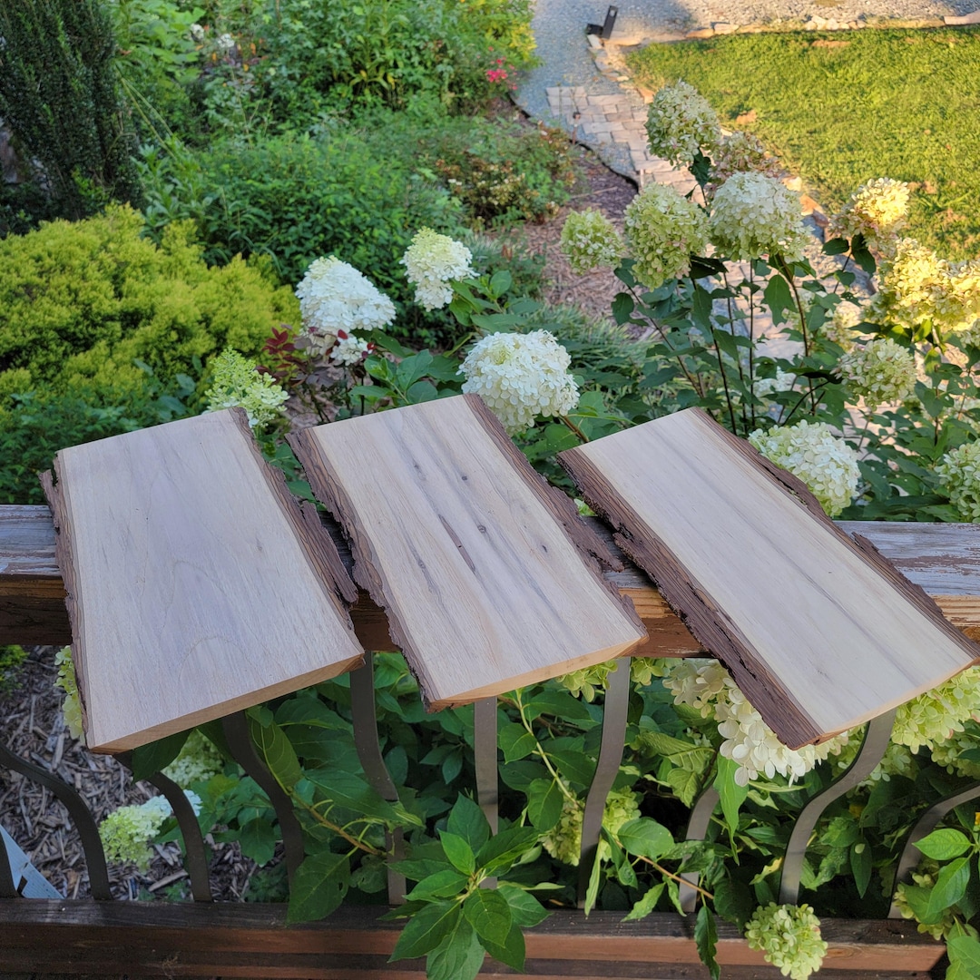Black Walnut Live Edge Wood Slabs: Pyrography Sign Blanks, DIY Project ...