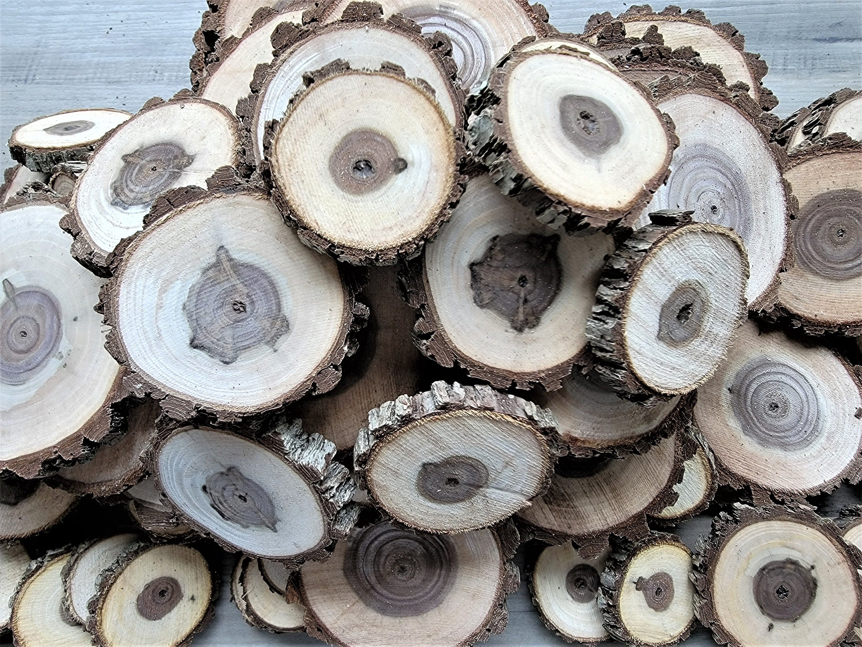 Black Walnut Wood Slices Assorted Sizes and Quantity 1 - Etsy