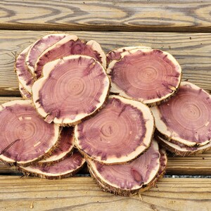 Red Cedar Wood Slices, Live Edge Tree Slices, DIY Coasters, Ornaments ...