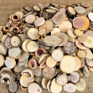 Qty of 100 Wood Slice Variety Pack 1" - 2" Assorted Tree Slices, DIY ...