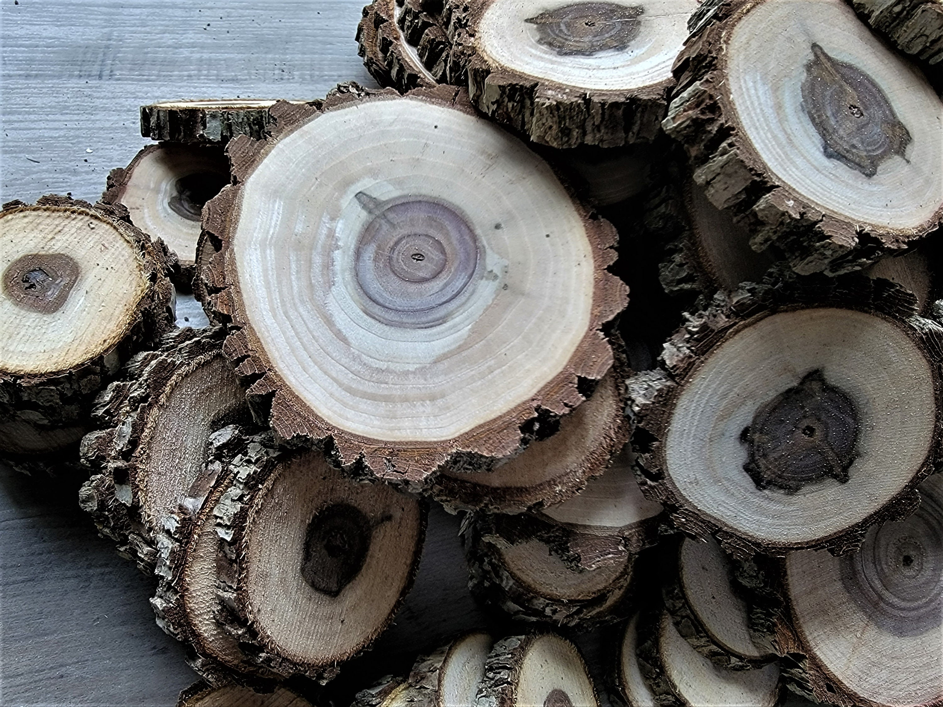 Black Walnut Wood Slices Assorted Sizes and Quantity 1 - Etsy